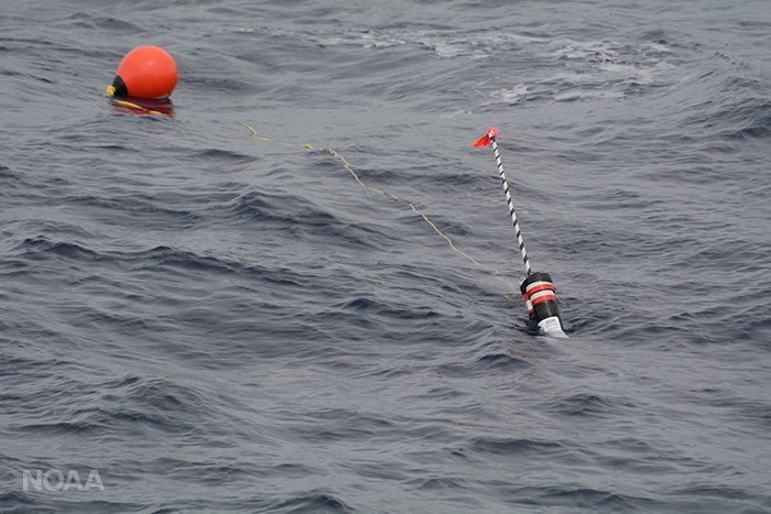Deep-Sea Sensors Aid Search for Whales | Sensors and Systems