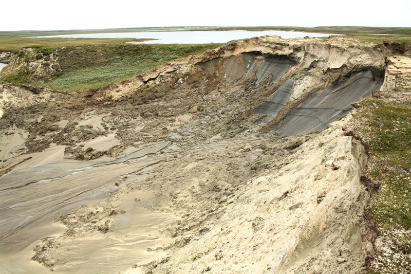 Landslides Have Long-Term Effects on Tundra Vegetation | Sensors and ...
