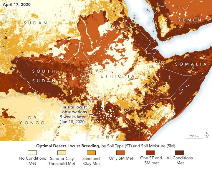 Soil Data Aids Prediction of Locust Swarms | Sensors and Systems