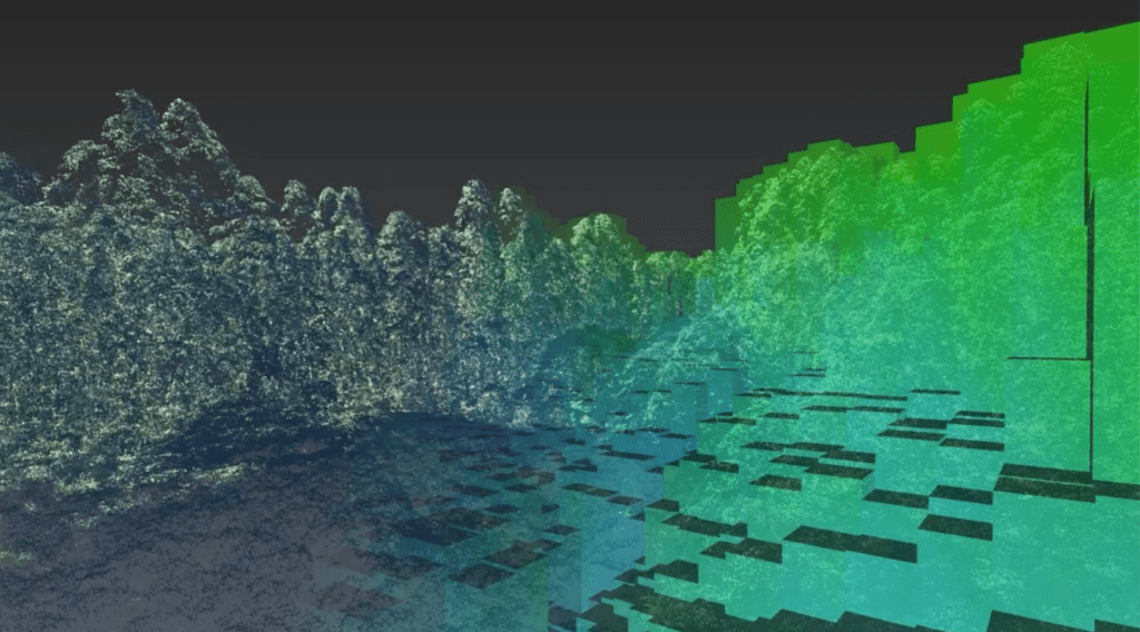 Green Cubes: A Digital Revolution for Rainforest Conservation | Sensors ...