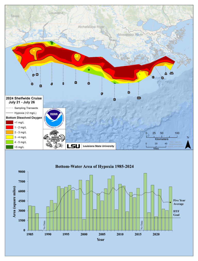 Gulf of Mexico ‘Dead Zone’ Larger than Average, Scientists Find ...