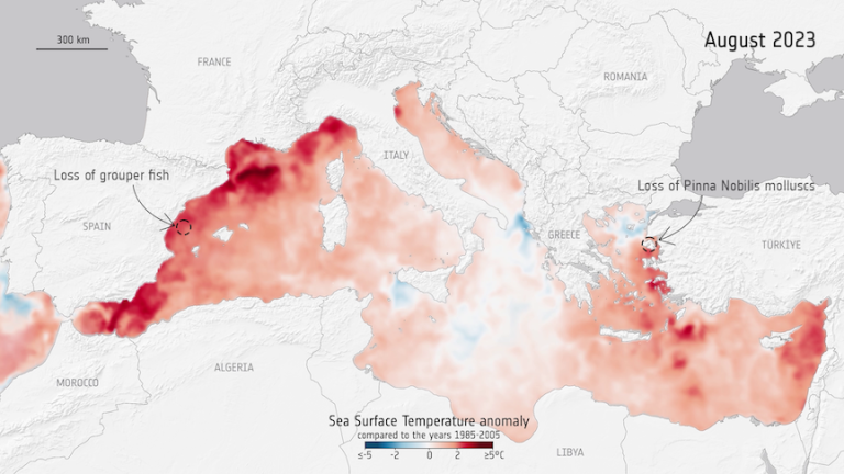 Mediterranean Sea Heatwaves | Sensors and Systems